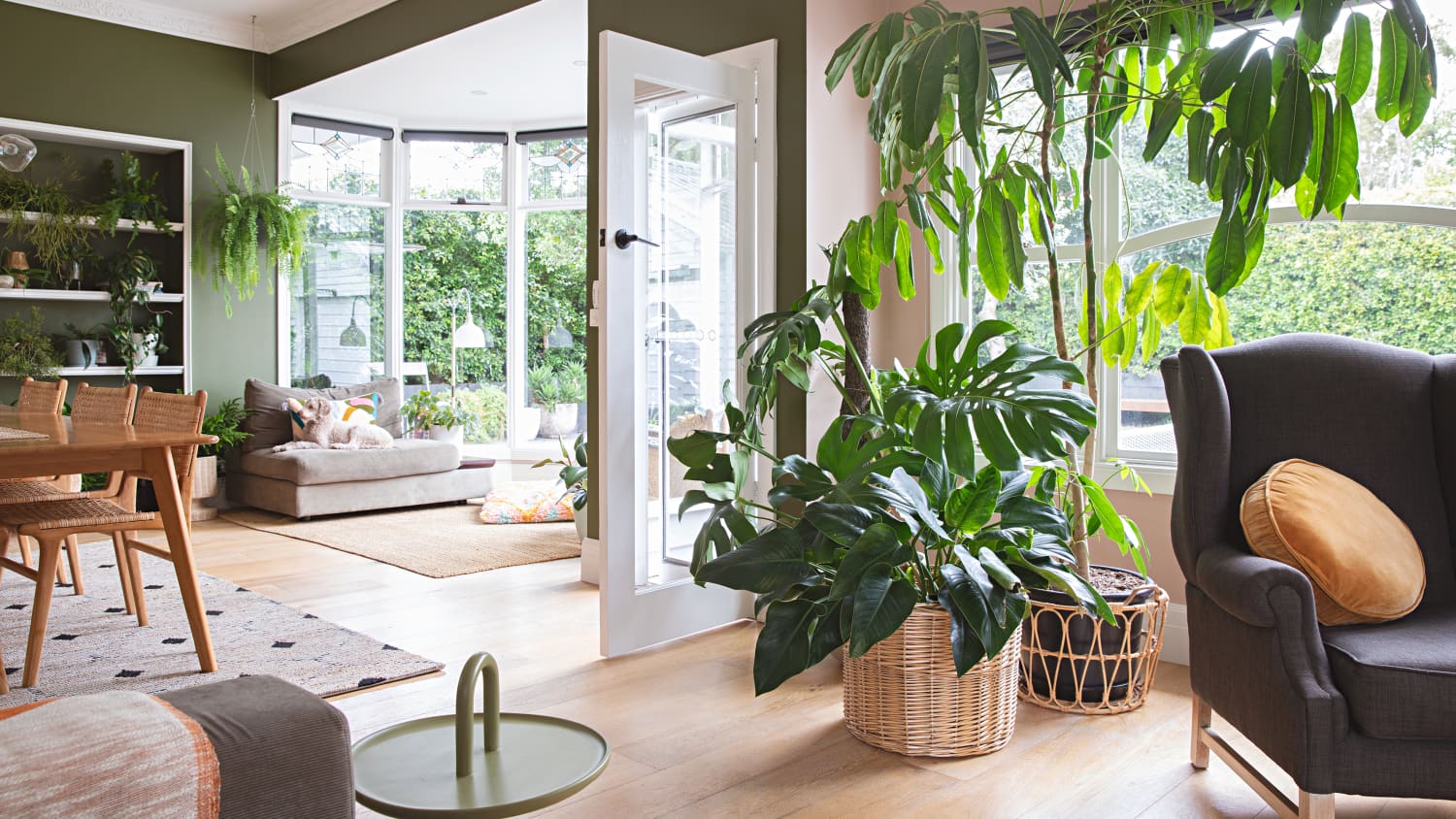 2 Homemade Bug Sprays for Plants Made with Essential Oils Apartment Therapy